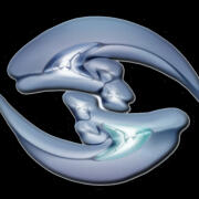 Schain Mold and Engineering